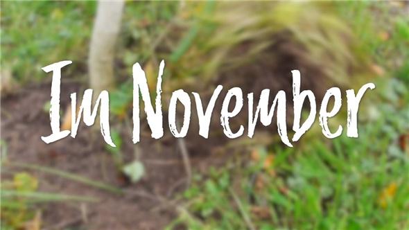 Was im November im Garten zu tun ist - Ostfriesische Nachrichten